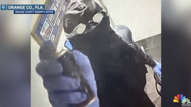 Disney's Paddlefish Restaurant Robbed By Scuba Diving Thief